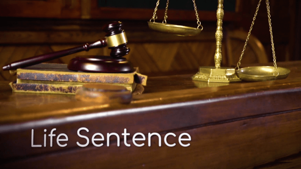 Explore Basic Grammar Questions With Life Sentence